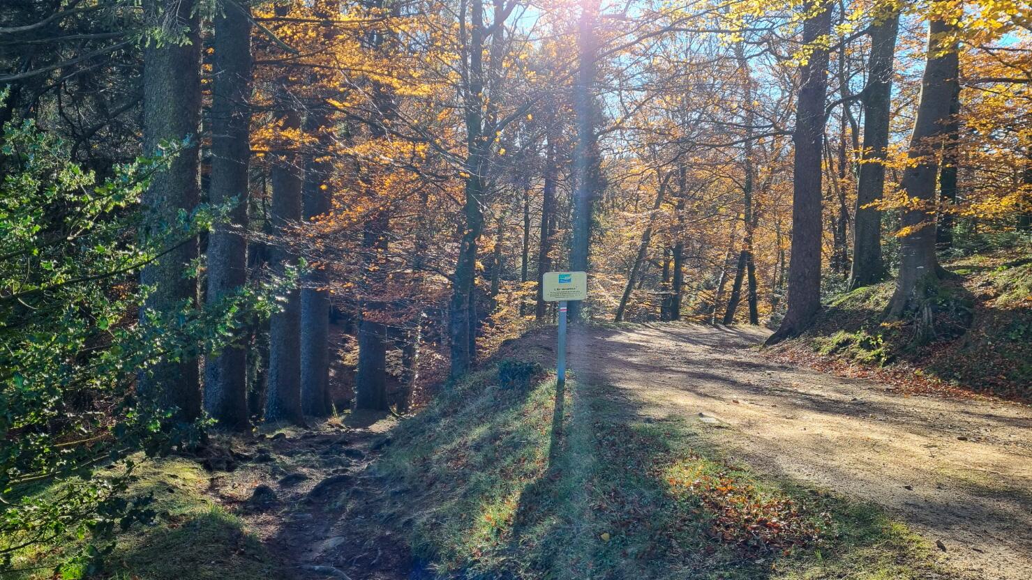 Charming Stone Estate with 8 apartments Near Lake Lampy