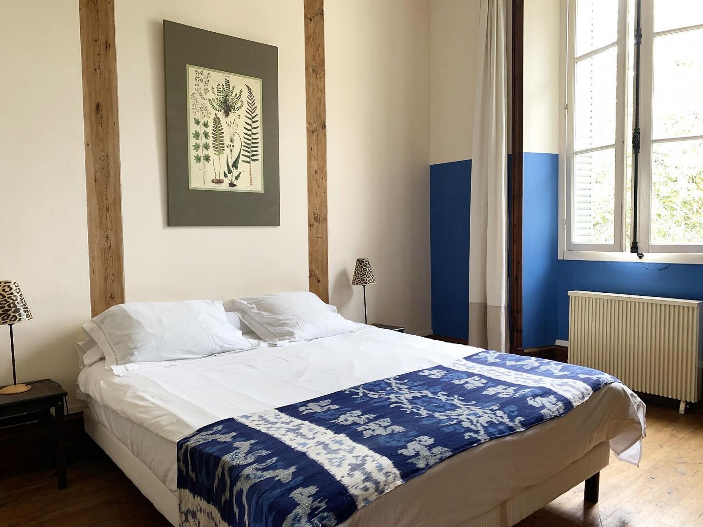 Historic Chateau with pool, no close neigbhours and views. Near Confolens