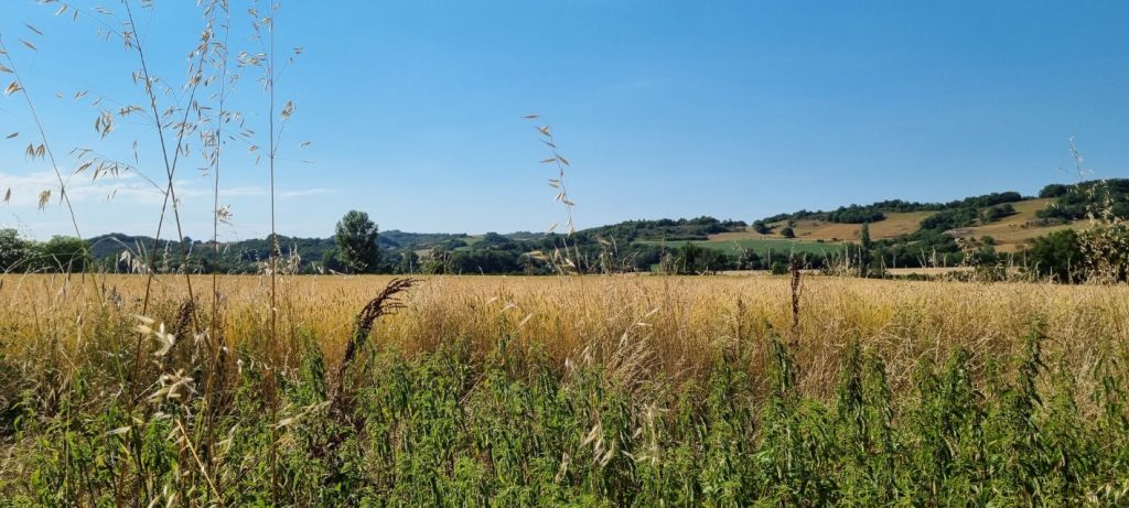 Properties with land France - Town Country Property France TCPF